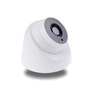 DOME CAMERA - SKYWORTH SKS-I44D2H 4MP / POE – maza.mn - Mazaalai Camera